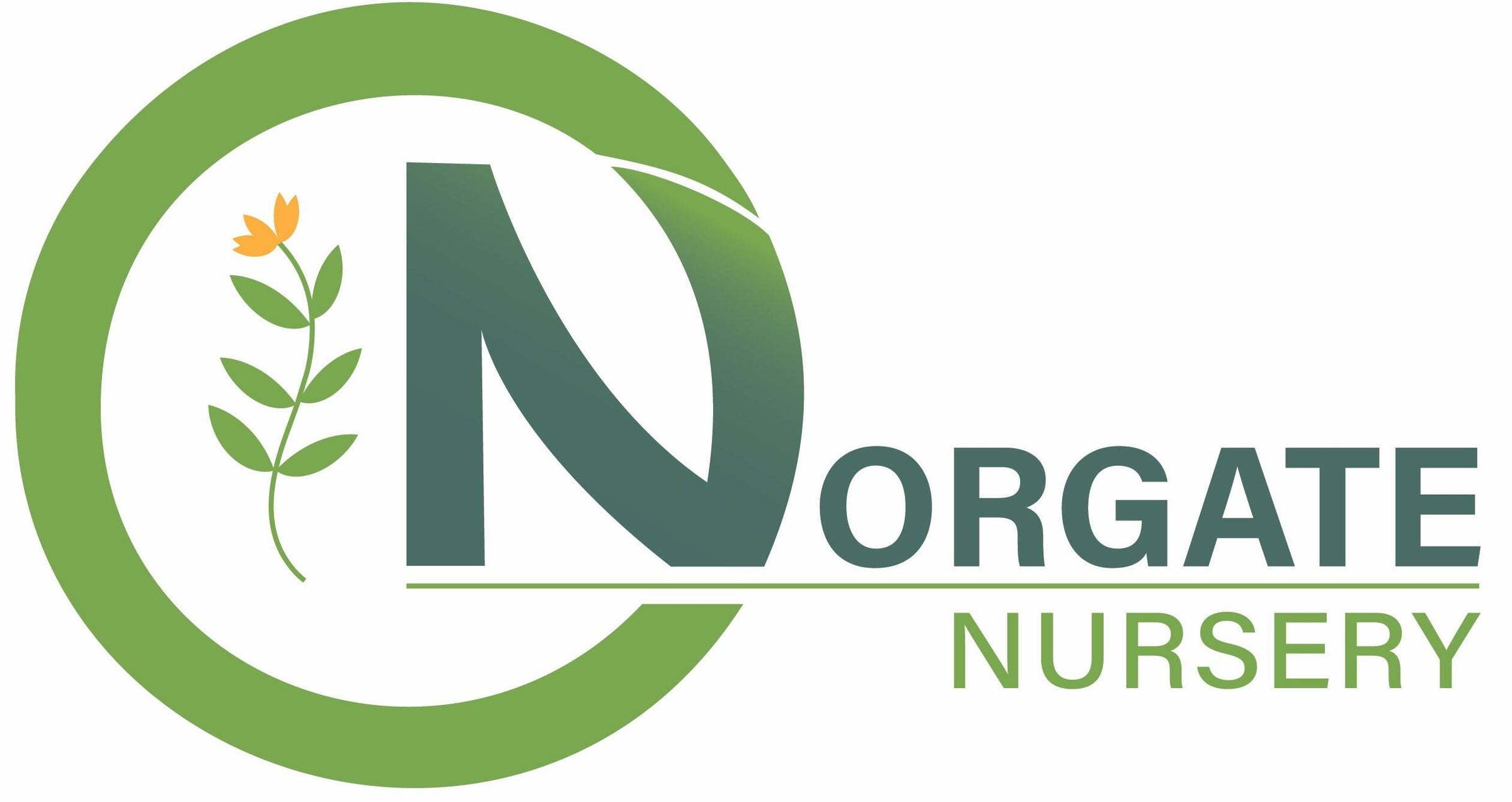 Home | Norgate Nursery